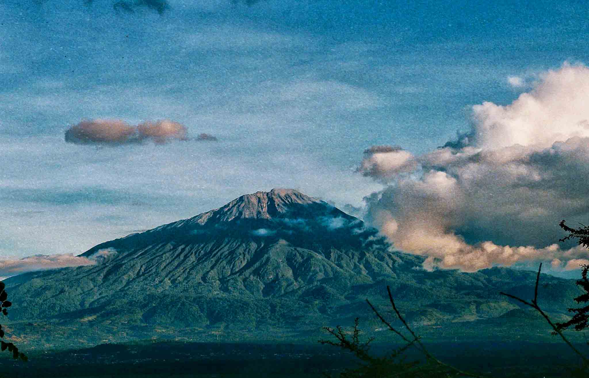 Meru National Park - Discover Gorillas