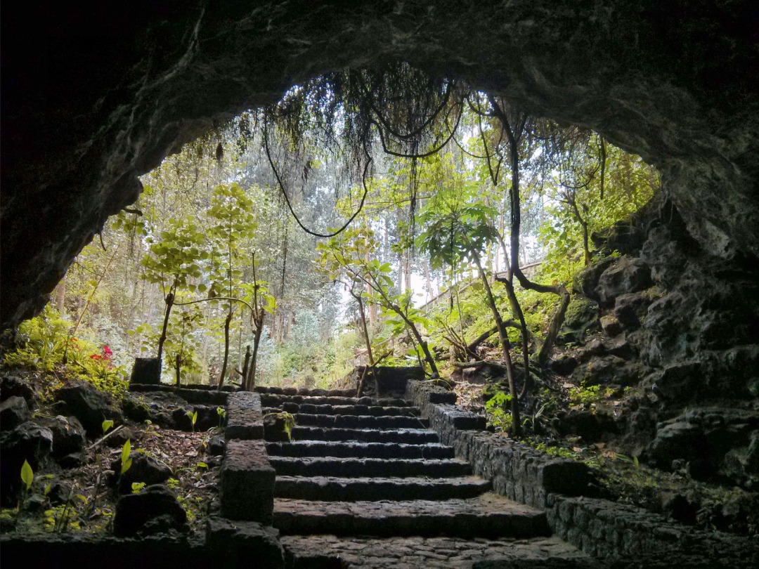 Volcanoes National Park - Discover Gorillas
